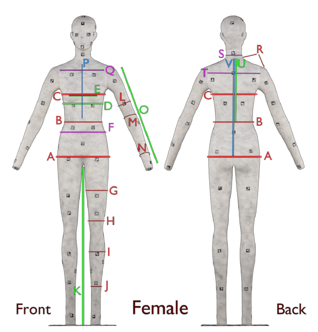 Physical Mannequin Measurements